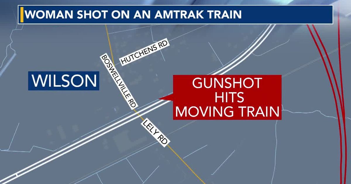 Police: Woman, Amtrak train shot while traveling through Wilson