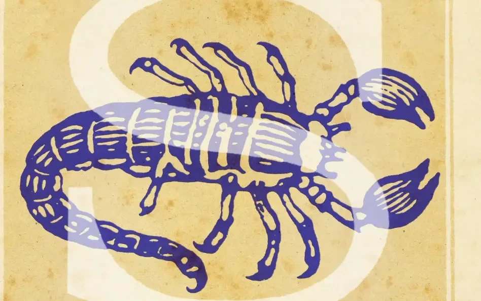 Scorpio horoscope highlights focus, intuition and fresh starts