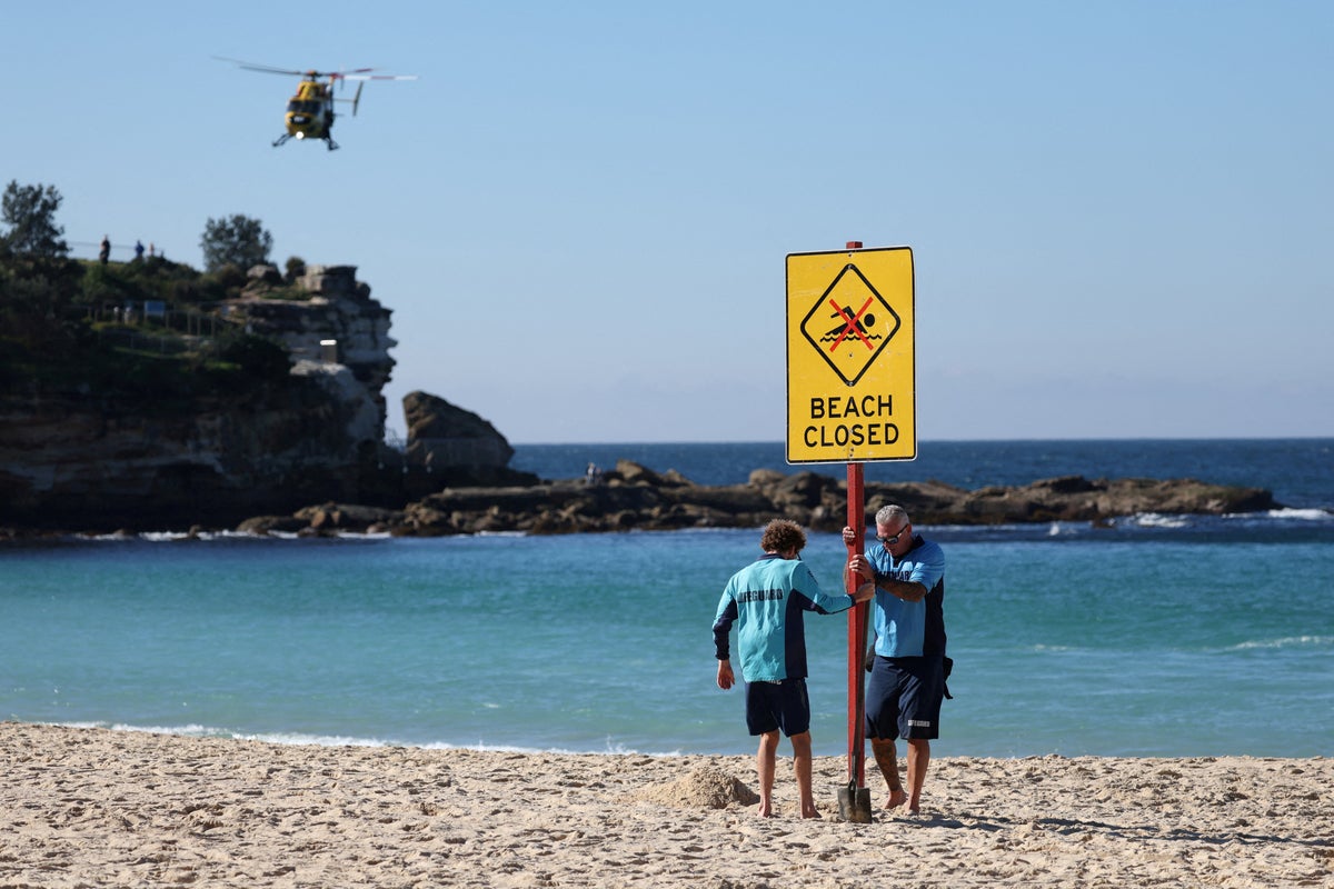Australia shark attack victim named as 35-year-old Leah Stewart