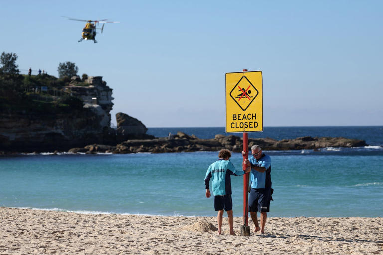 Australia shark attack victim rather than Coogee Beach