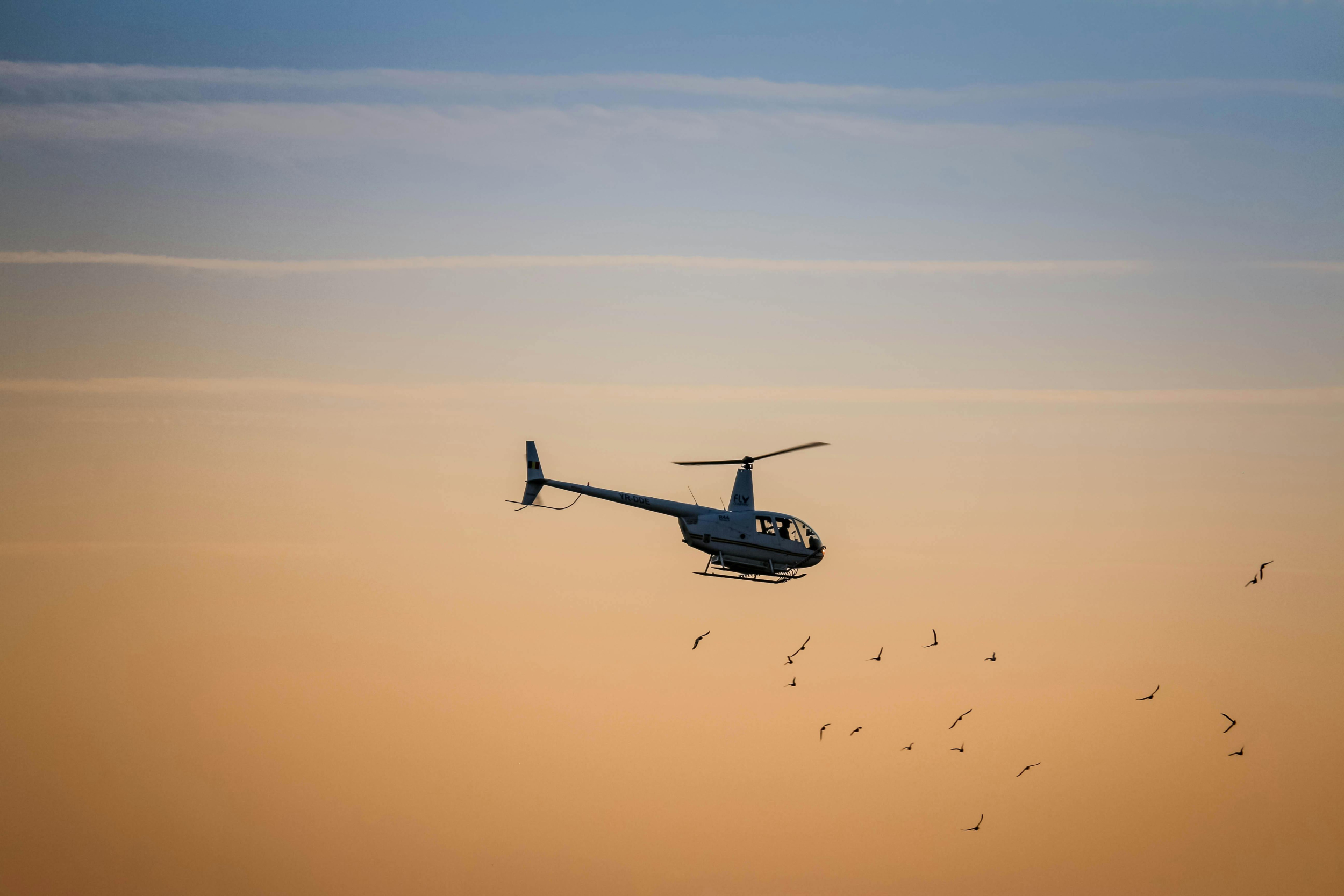 What type of helicopter was Oliver Tree riding? Inside the aircraft the ...