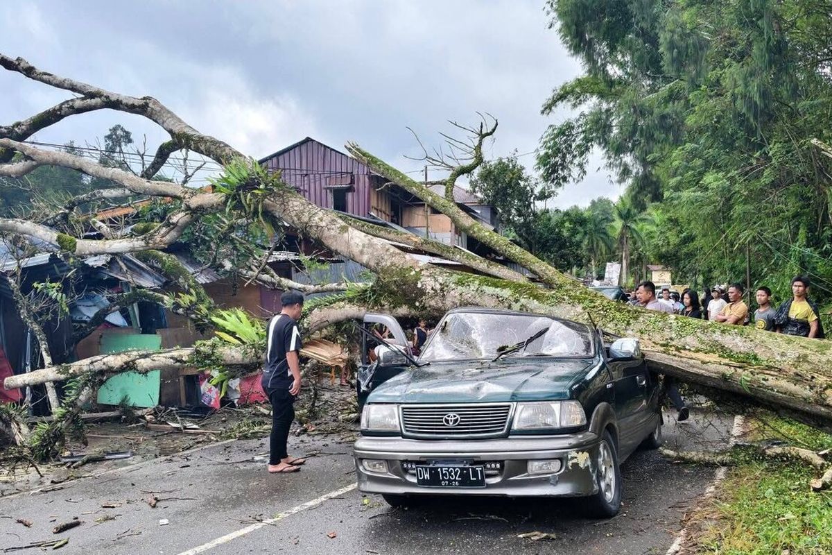 Toyota Kijang Krista gepeng, atap ambles nempel jok ditebas makhluk ...