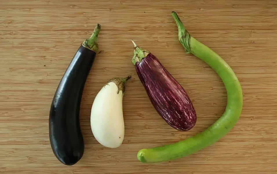 Master the art of cooking eggplant