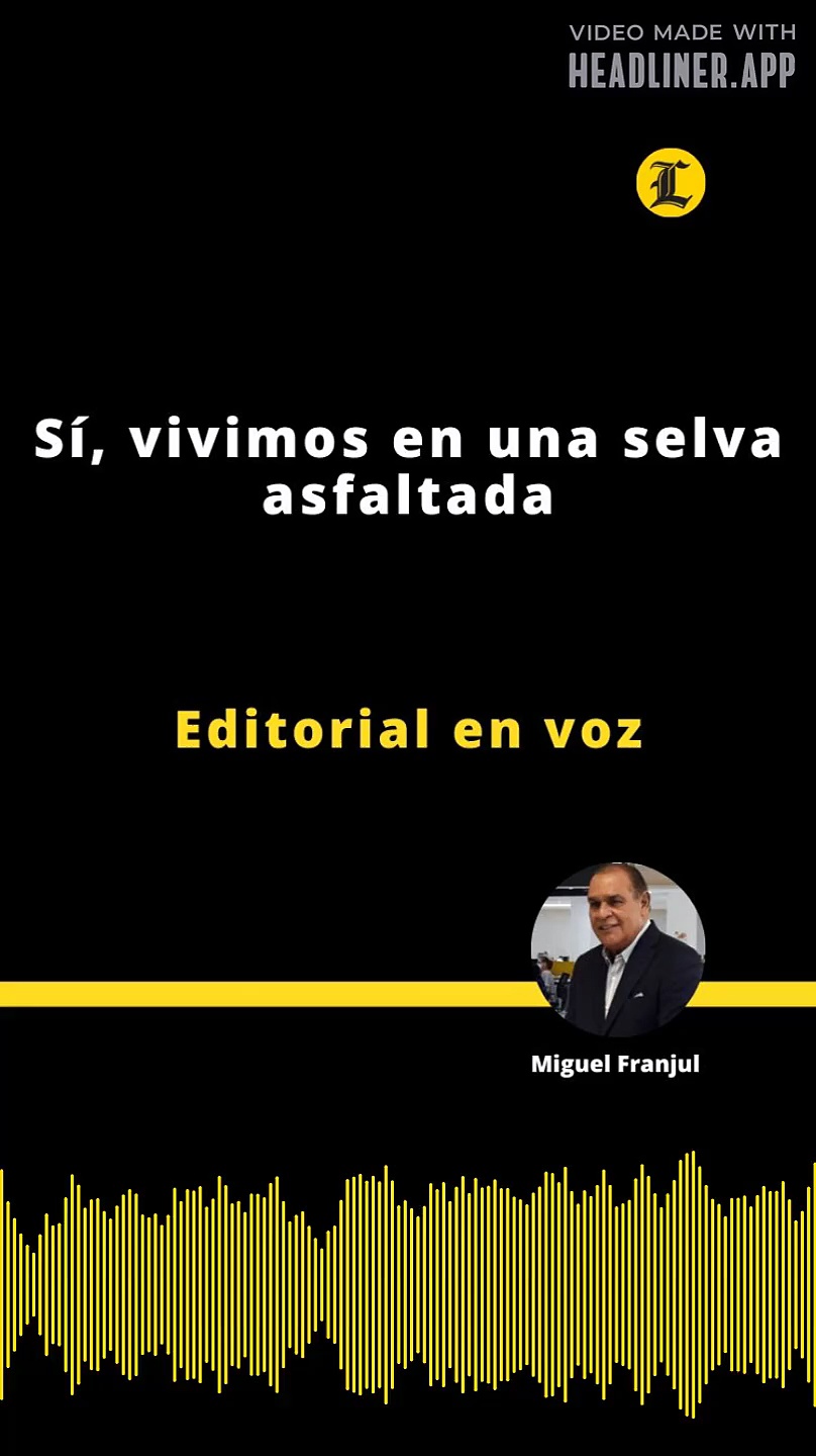 Editorial | Sí, vivimos en una selva asfaltada