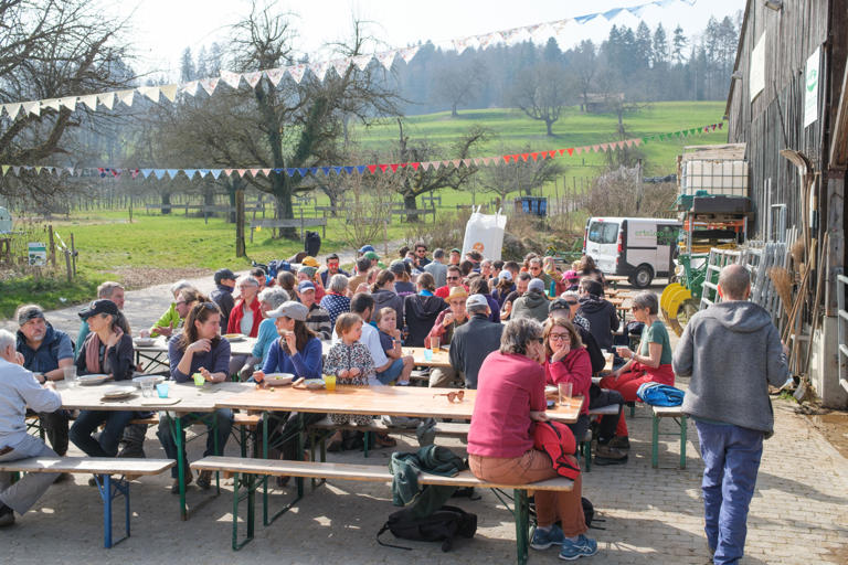 À Dietikon, 600 personnes cultivent ensemble leurs légumes