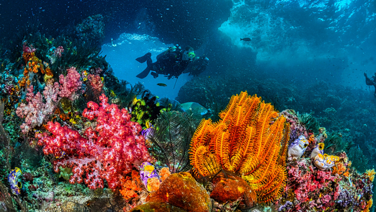 Melting icebergs create new deep-sea habitats 2,500 metres beneath the ...