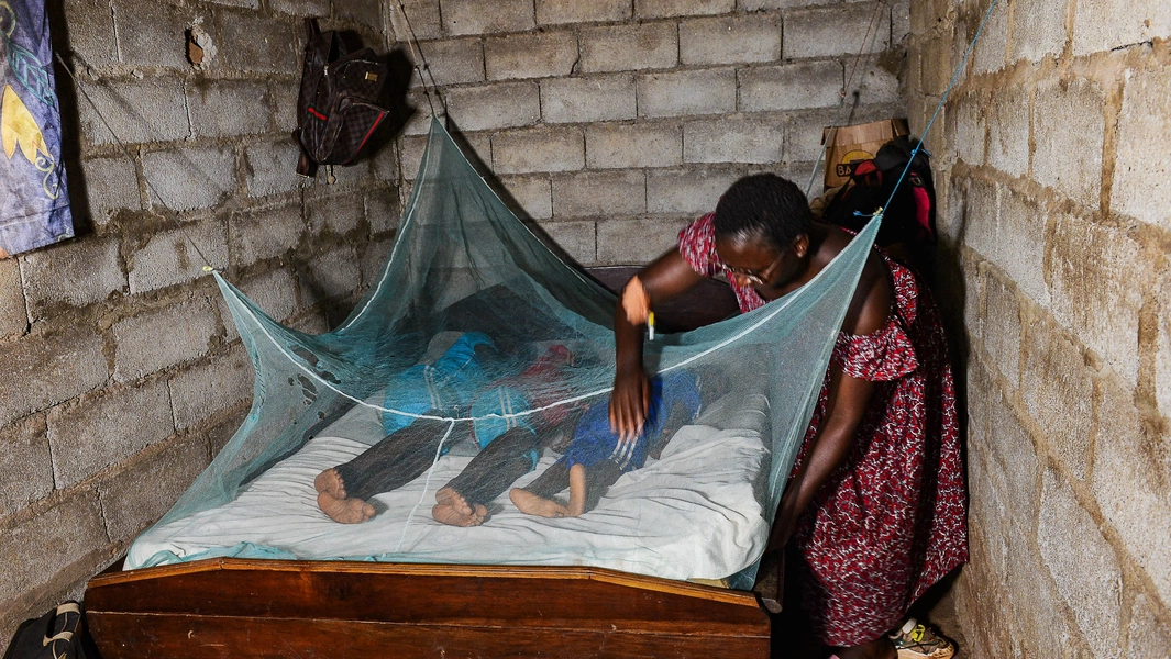 Study warns mosquito net effectiveness faces growing threats