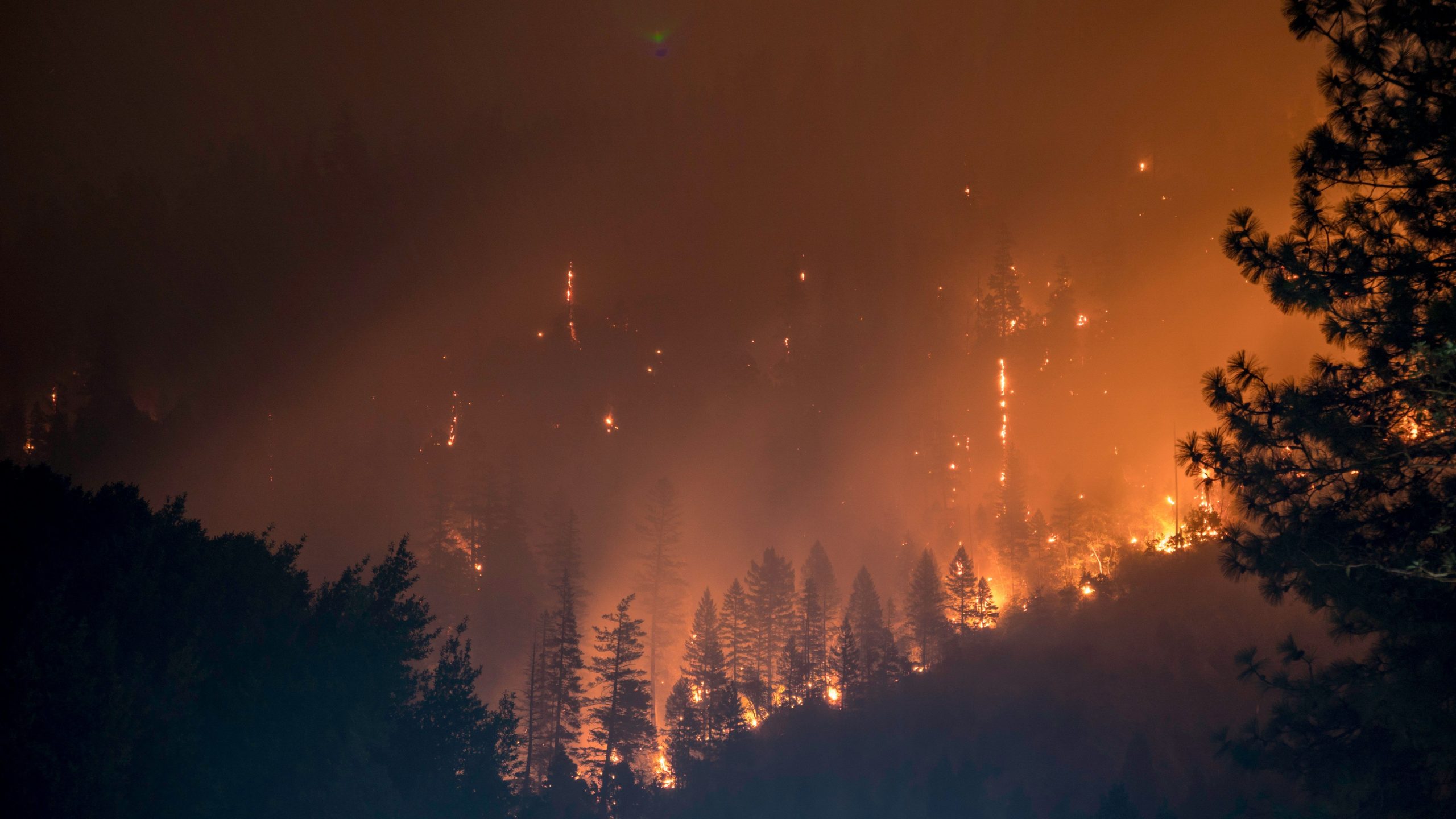 Los bomberos estabilizan incendio forestal en Cervià de les Garrigues y ...