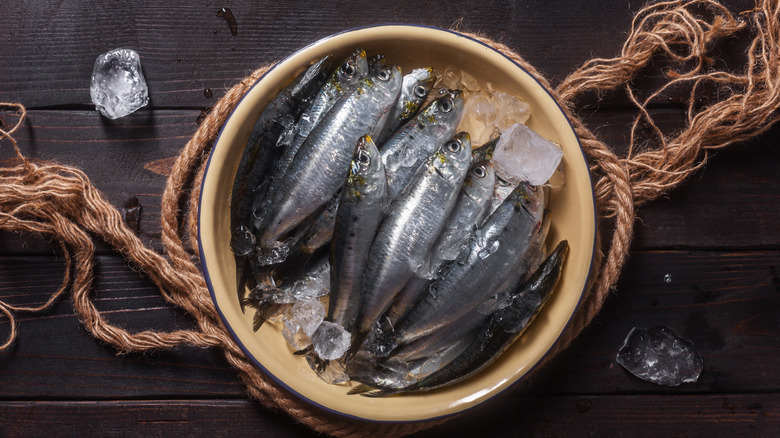 14 facts about sardines you should know