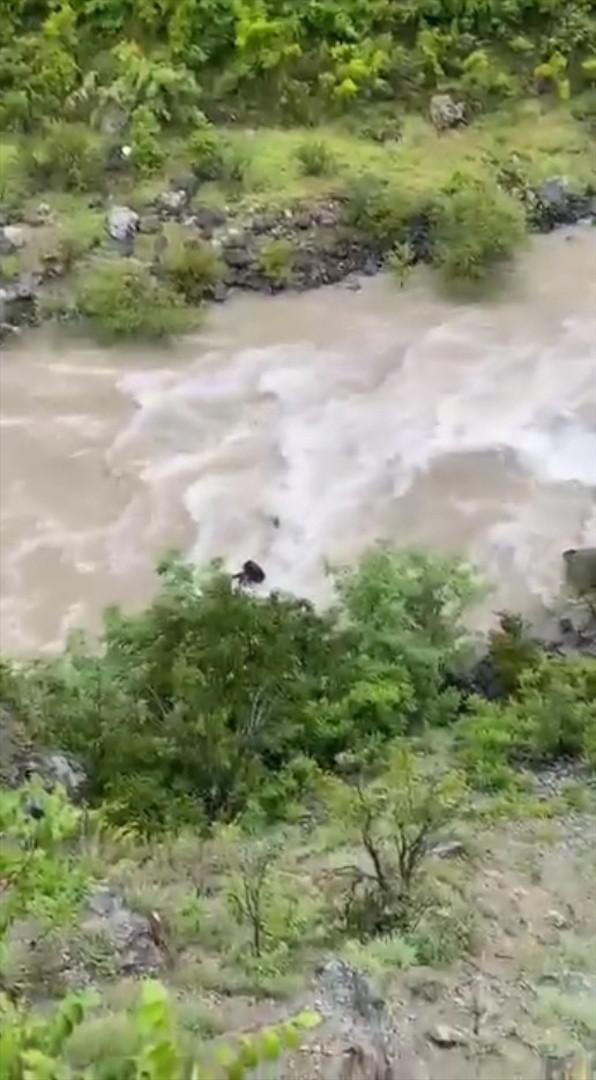 Artvin'de feci kaza! Çoruh Nehri’ne düşen otomobilde kaybolan baba-oğul ...