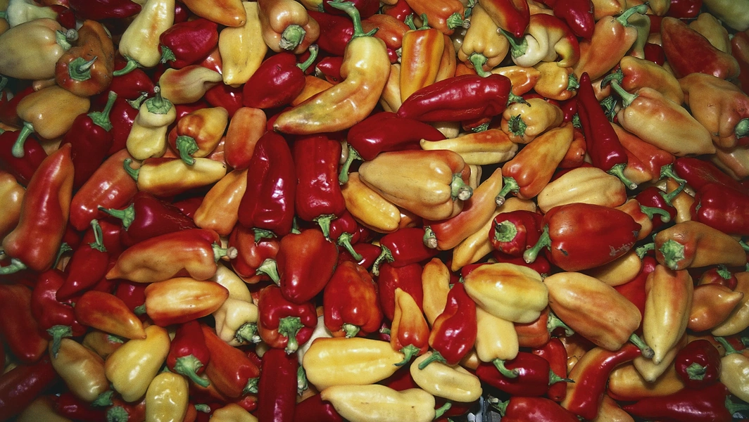 Bell pepper secrets for flavor and health