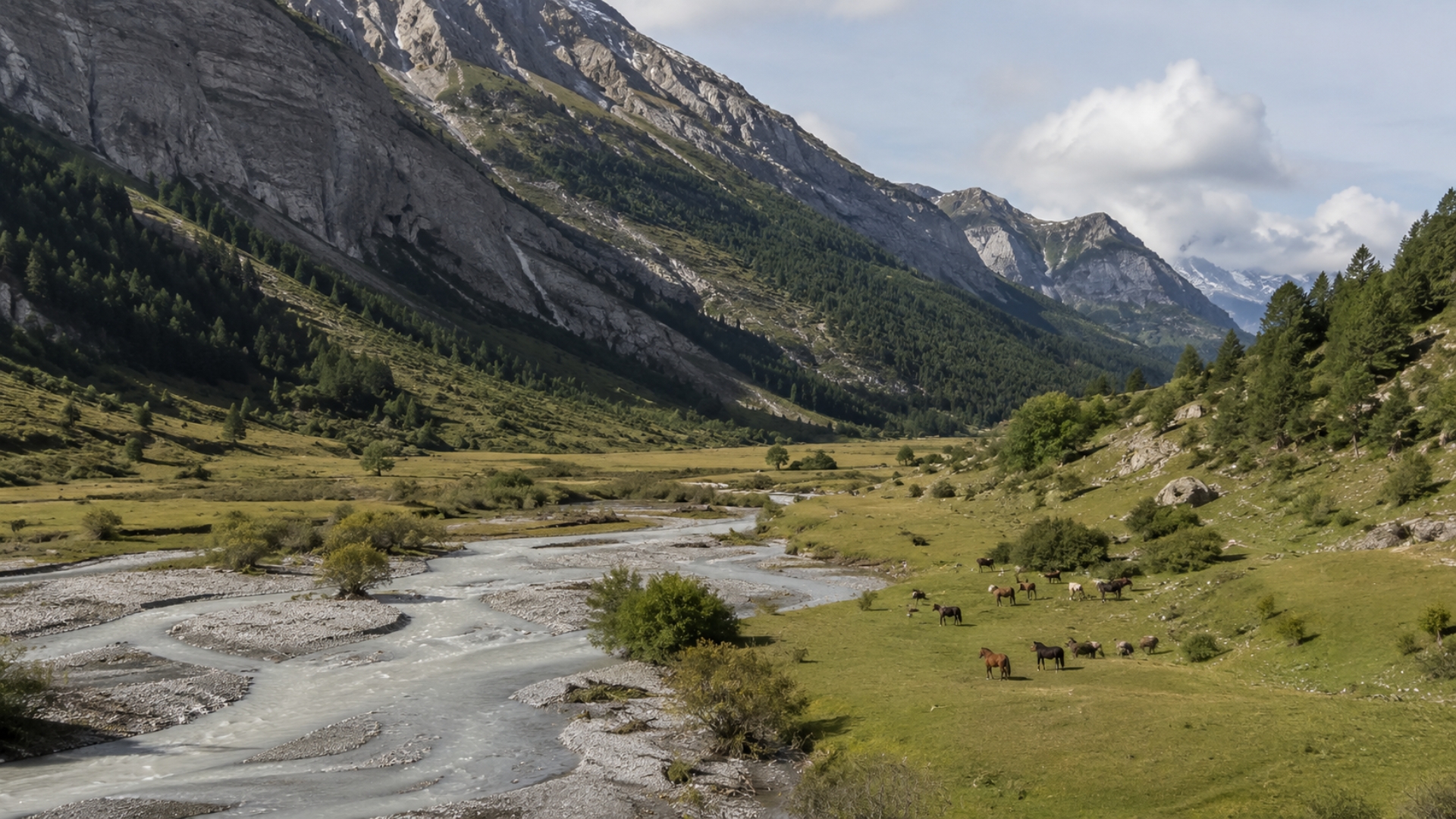 Il progetto di rewilding nelle Alpi del Dauphiné in Francia va oltre il ...