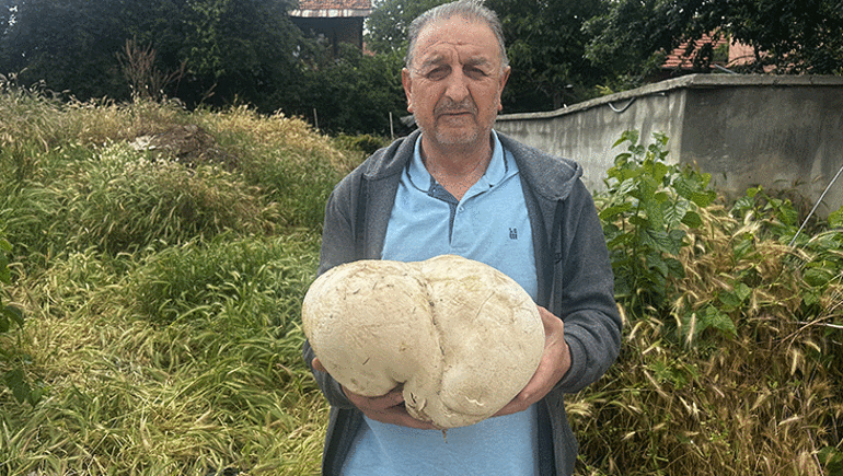 Isparta'da bahçesini temizlerken buldu! Tam 3 kilo 470 gram
