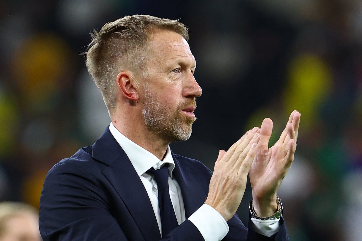 Sweden boss Potter says ear may have been bitten during celebrations