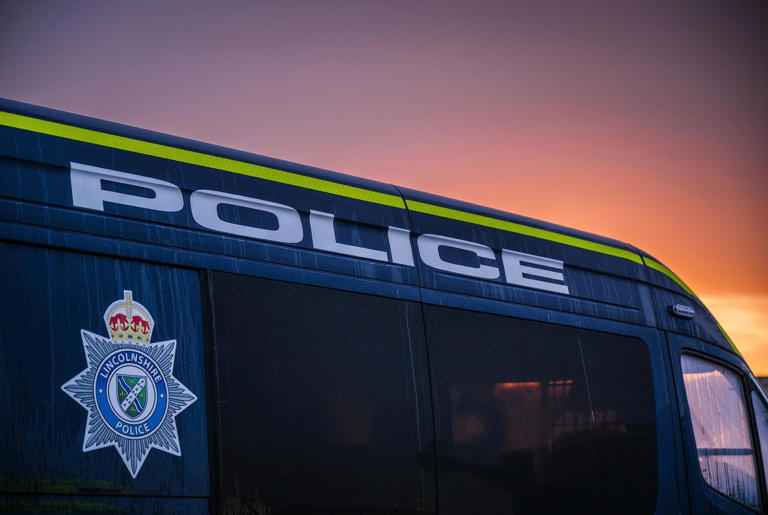 Dog attack in Skegness street leaves woman with facial injuries - while ...
