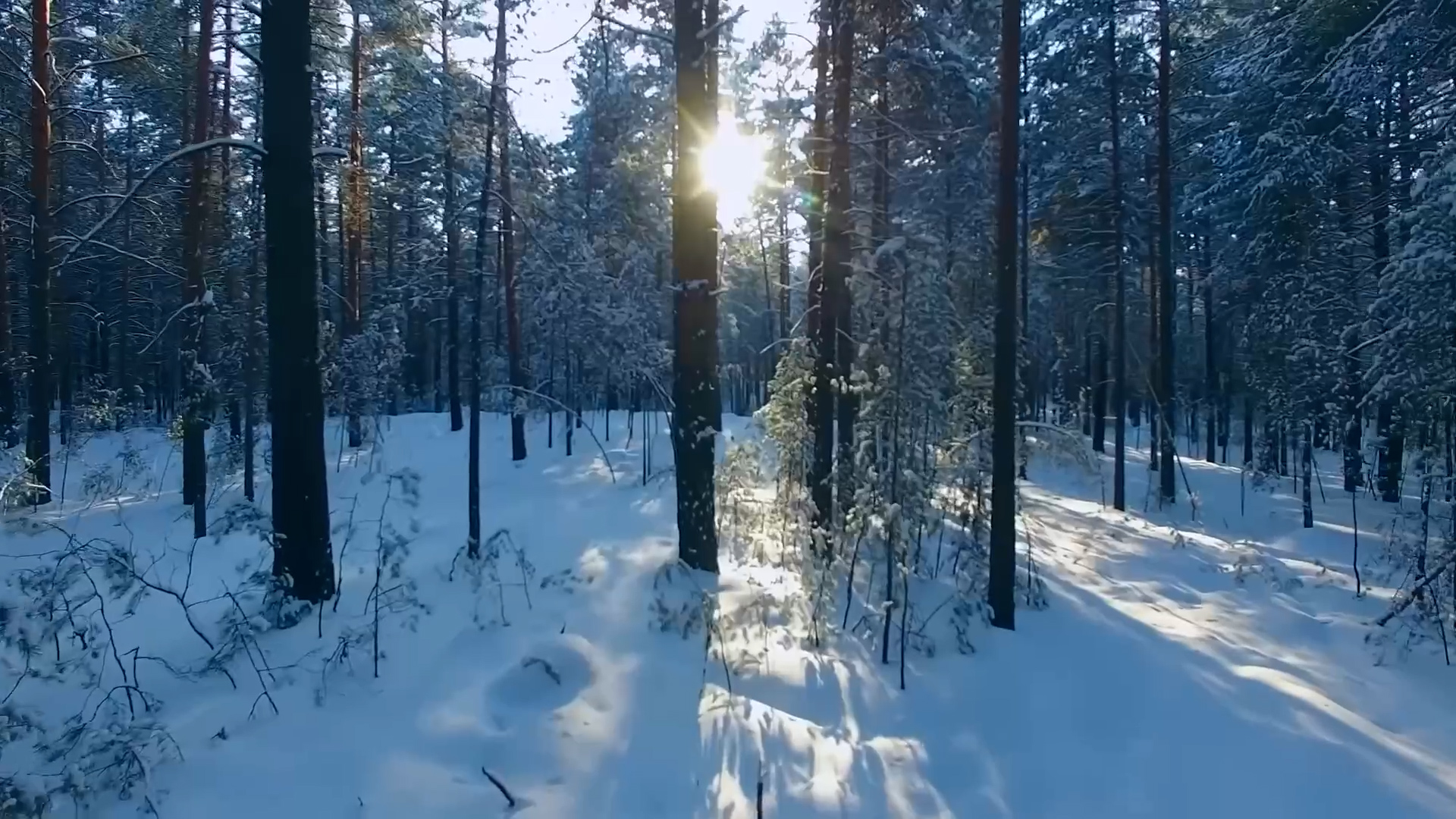 Surprising truths about winter that quietly defy common assumptions