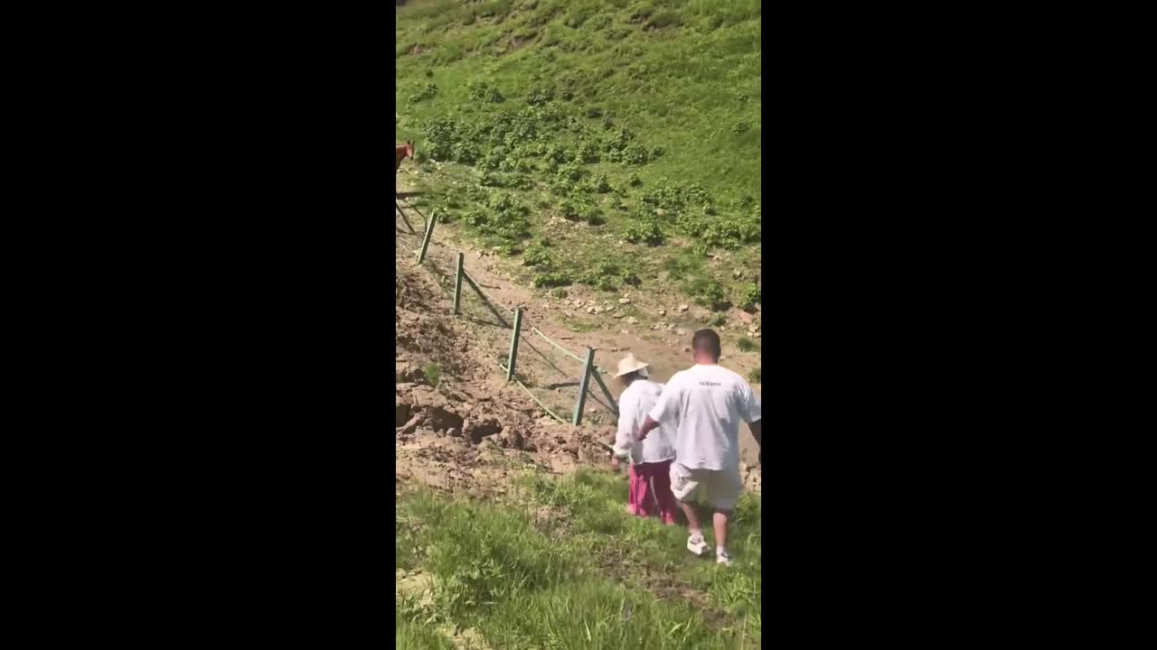 Kind passersby rescue horse trapped in wire fence in China