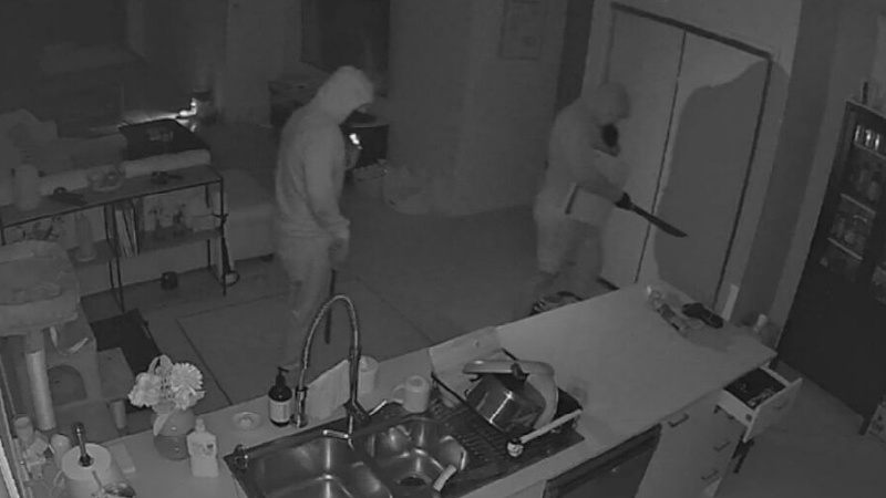 Teens accused of terrorising residents in string of armed home invasions