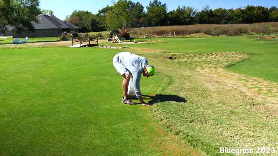 I thought pre-germination was the secret - until this overseed