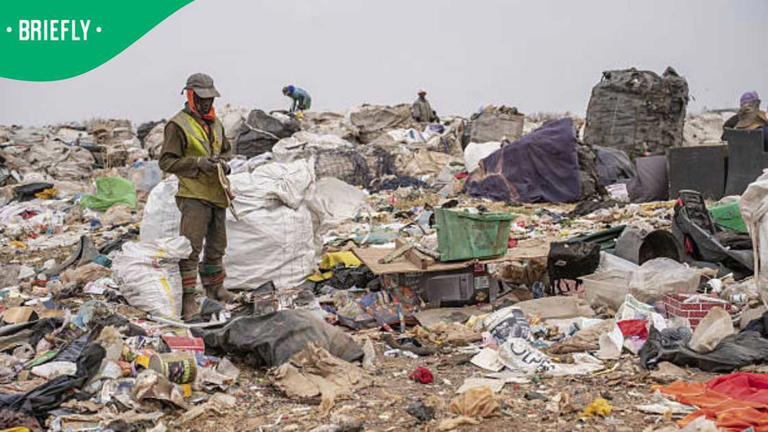 Mafia-style groups cash in on Johannesburg’s illegal dumping sites