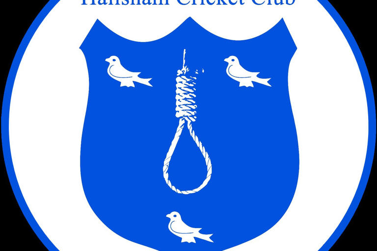 News from Hailsham 1st XI