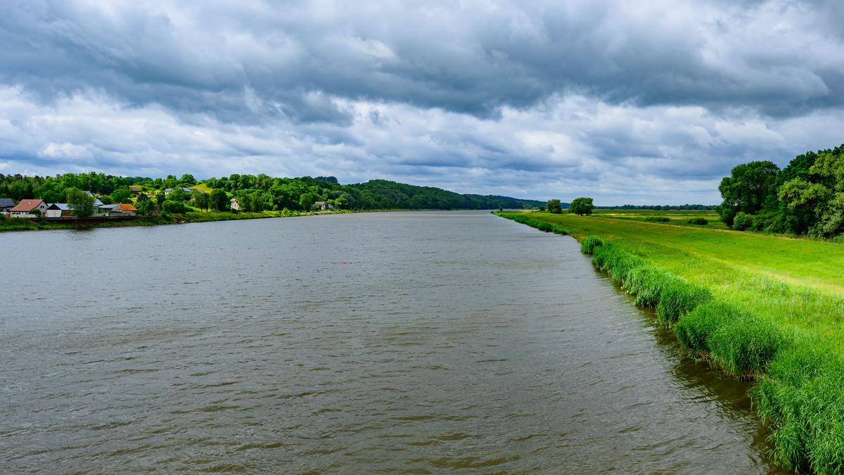 Fischsterben in der Oder: Regeneration von Fischbestand in Oder dauert ...