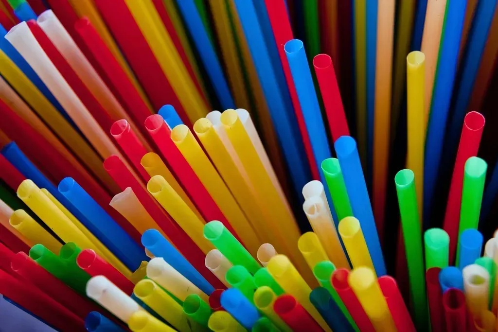 11 single-use items people should give up after learning the real cost