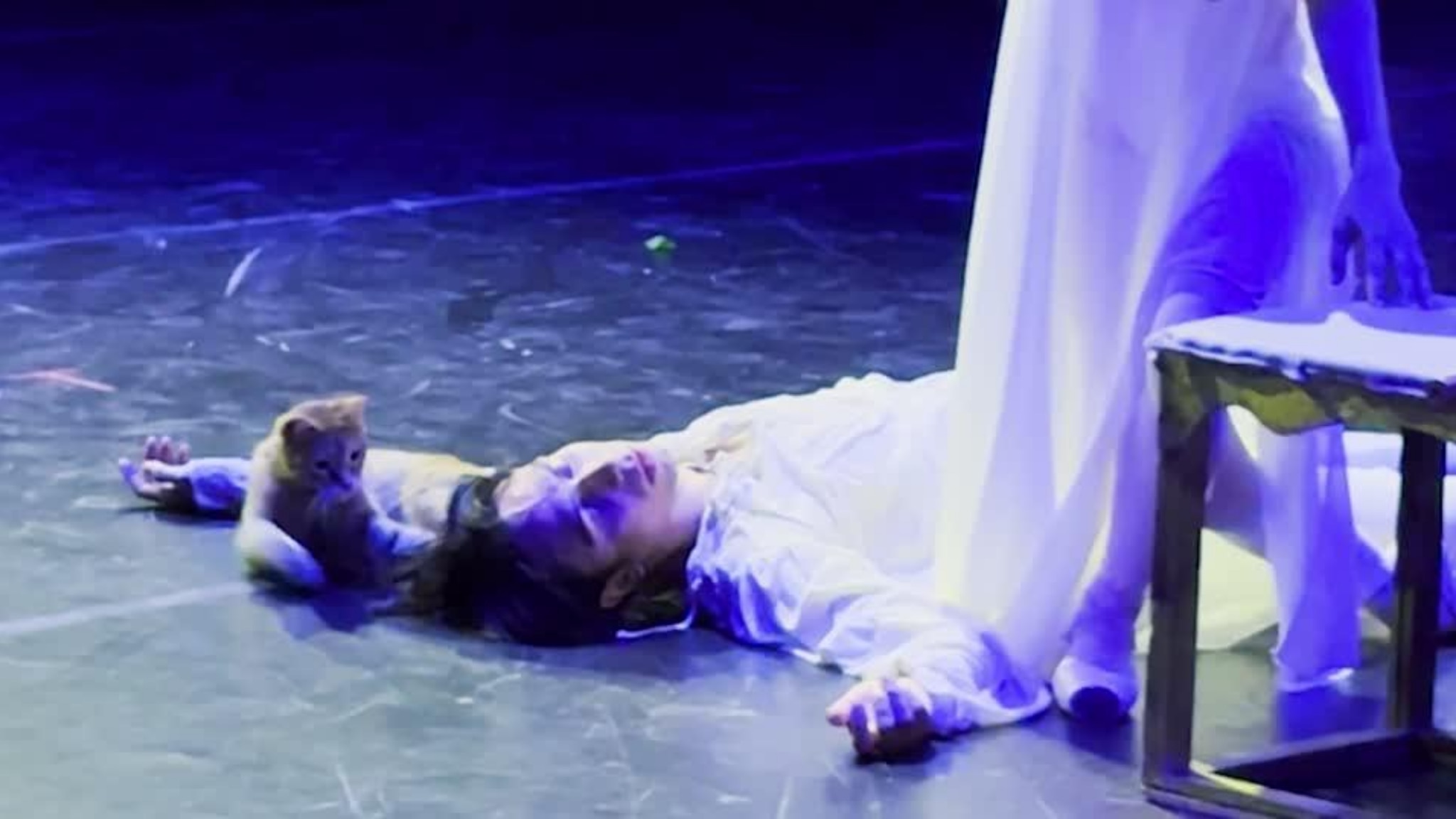 Gatto ruba la scena nel finale di Romeo e Giulietta e la tragedia ...