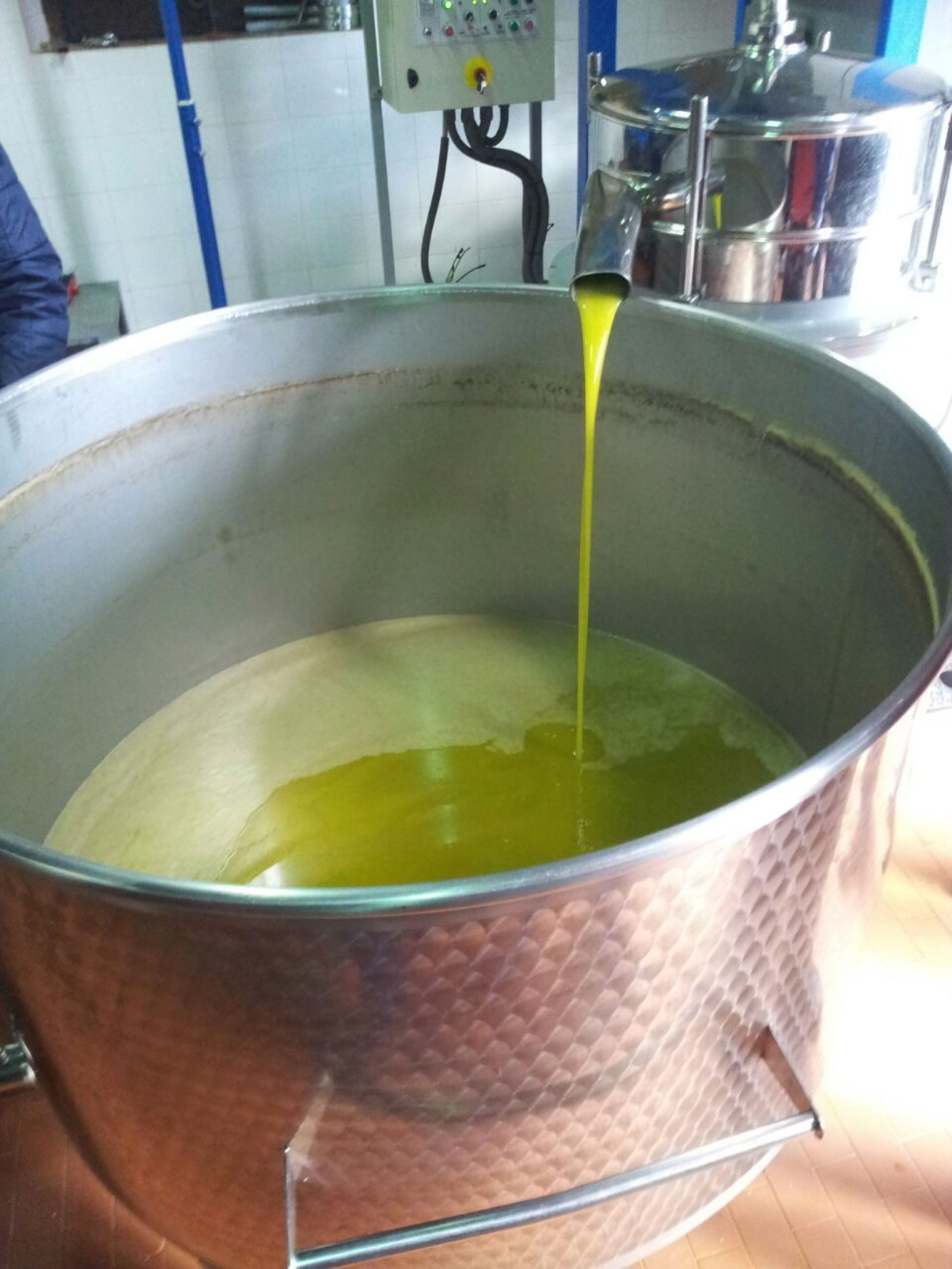 Aifo, l'olio EVO è uno dei simboli della sostenibilità agroalimentare ...