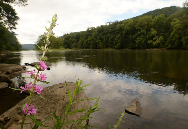 What has search revealed about NW Pa.'s only Revolutionary War battle?