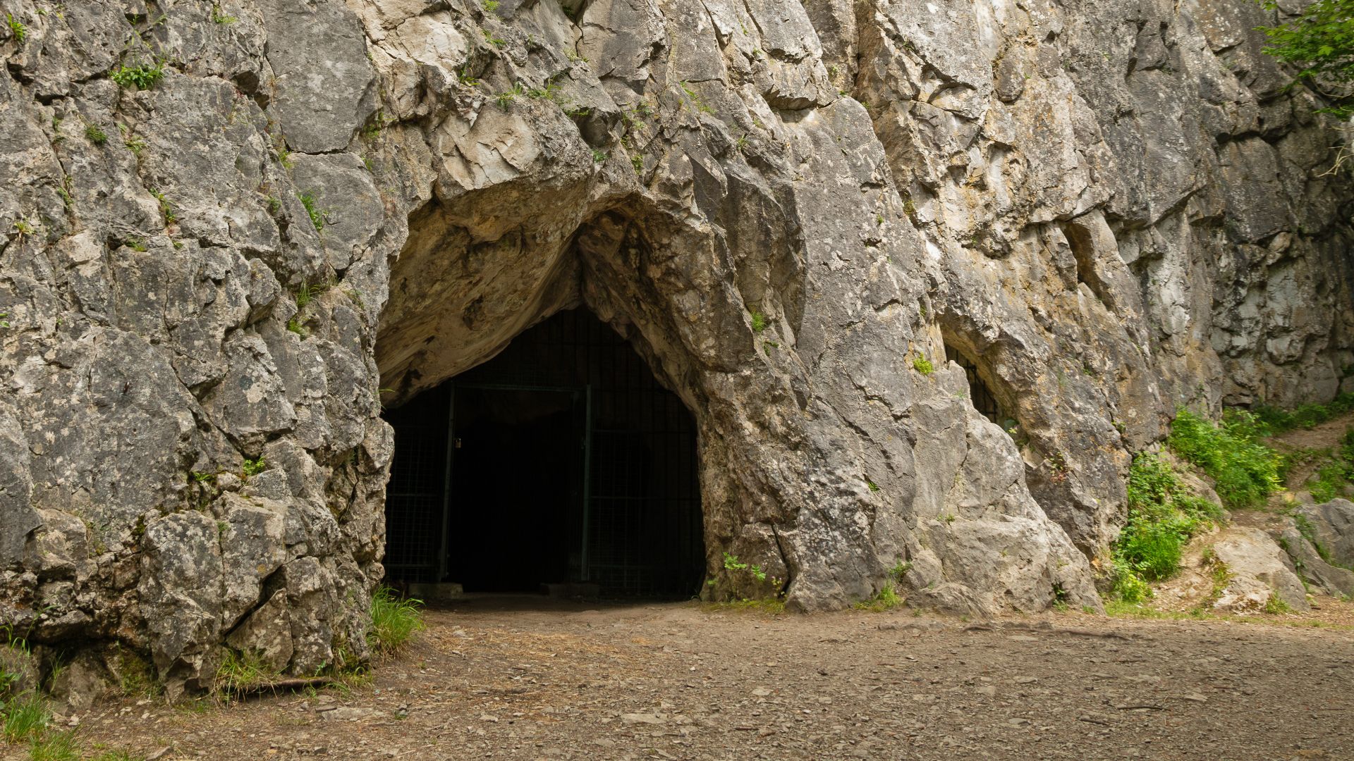 Neanderthal bones found in Belgium’s Goyet Caves have revealed a ...