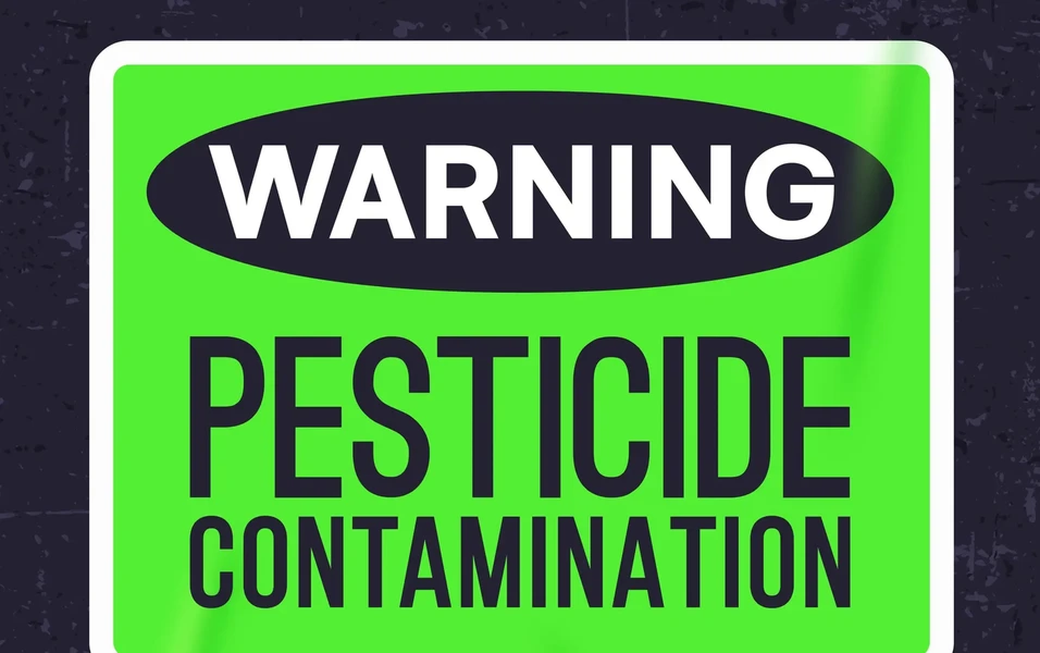 Rappel massif de melons pour pesticide excessif
