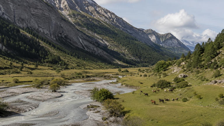 France’s Dauphiné Alps rewilding project is bigger than a mountain comeback