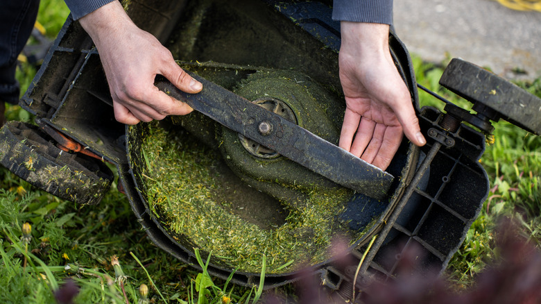 The right way to clean your lawn mower blades before you sharpen them