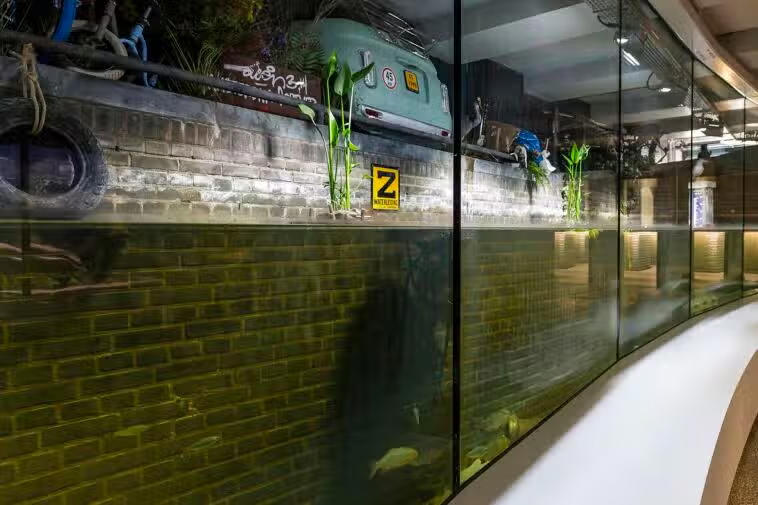 Fiat Topolino finisce in un acquario, la curiosa scelta che conquista ...