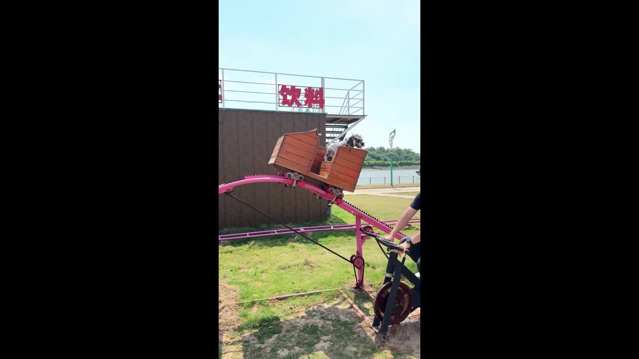 Pet dog enjoys paddle-powered mini roller coaster ride