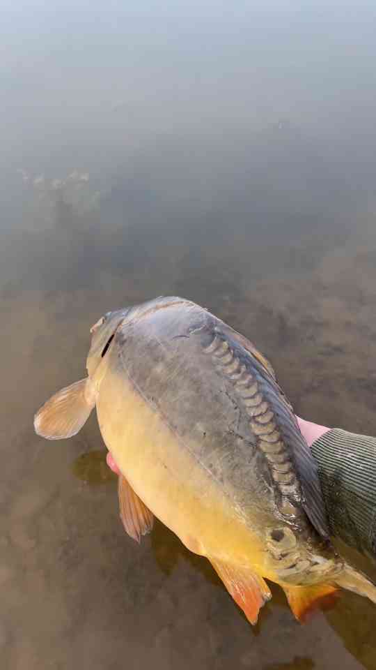 How to handle big fish safely during catch and release