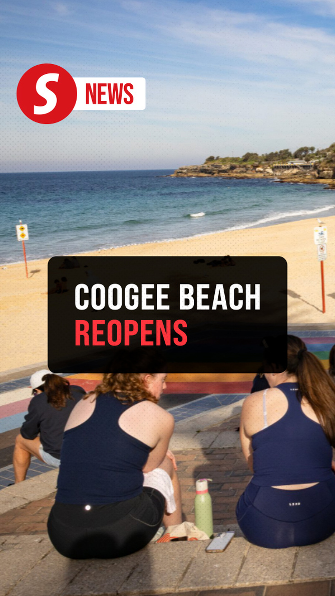 Sydney reopens beach under heavy patrols after shark attack