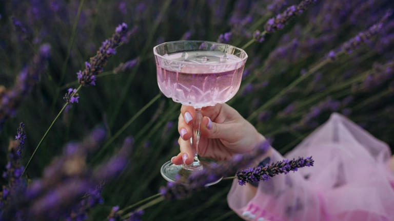 From mogra to hibiscus, 6 flowers that turn into refreshing summer drinks