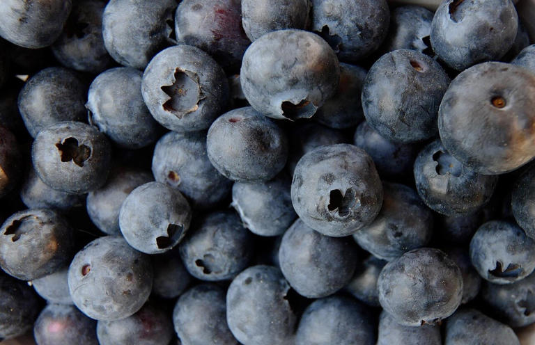 Blueberry-size capsule tracks core temperature from inside the body