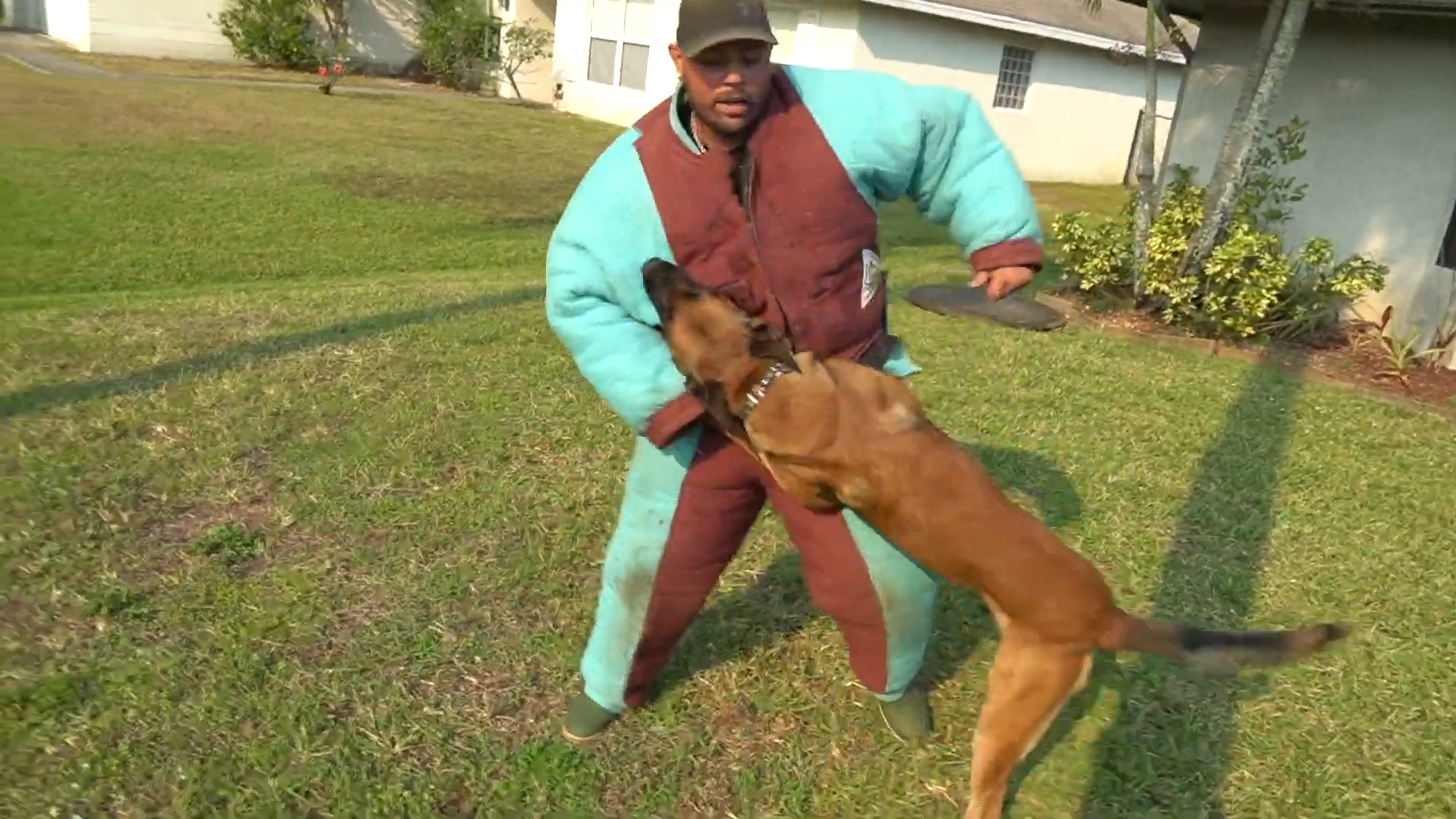 This is what happens when I step into a K-9 bite test