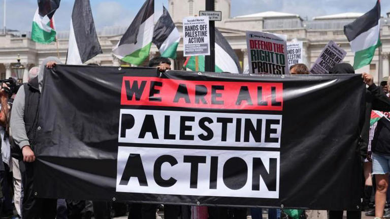 Palestine Action ban is lawful, Court of Appeal rules