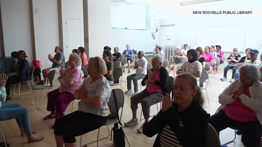 Summer at the library: Chair yoga classes in New Rochelle bring fitness ...