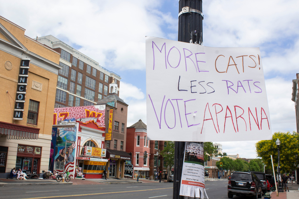 AP decision notes: What to expect in the Washington, DC, primary