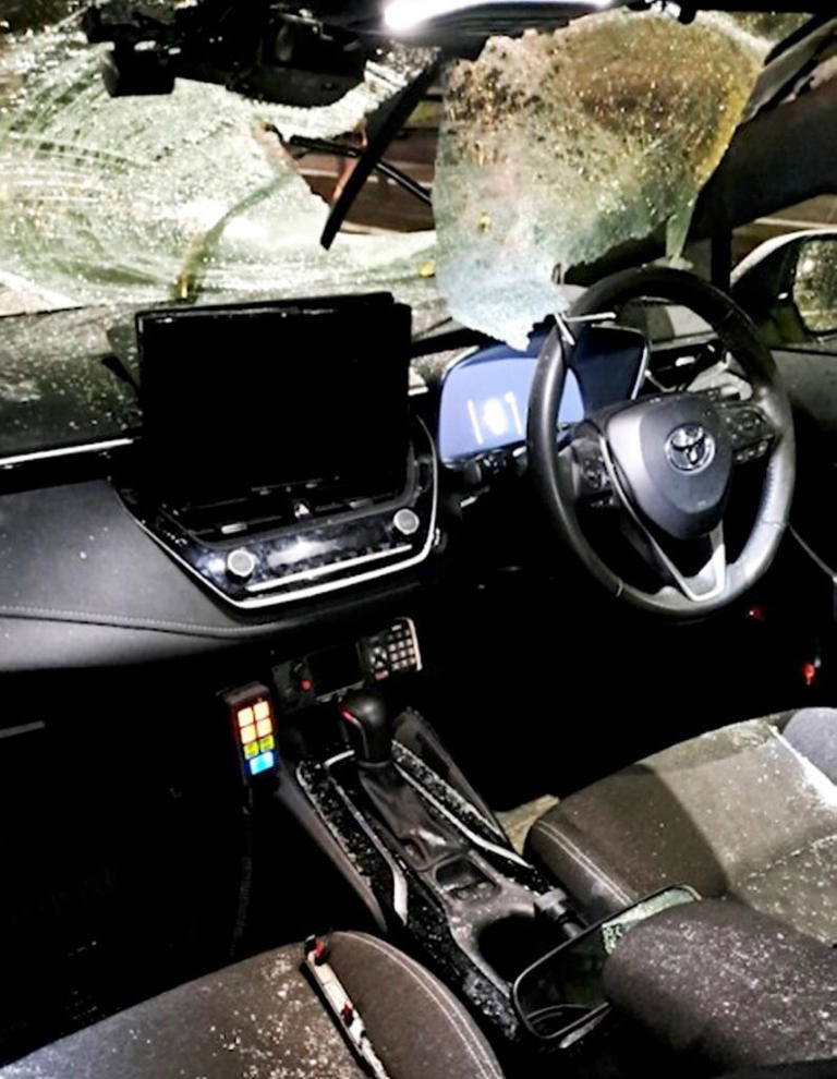 Teen threw wheelie bin off bridge at police car