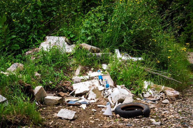 Fly-tippers turn beautiful nature reserve into one of Britain's largest ...