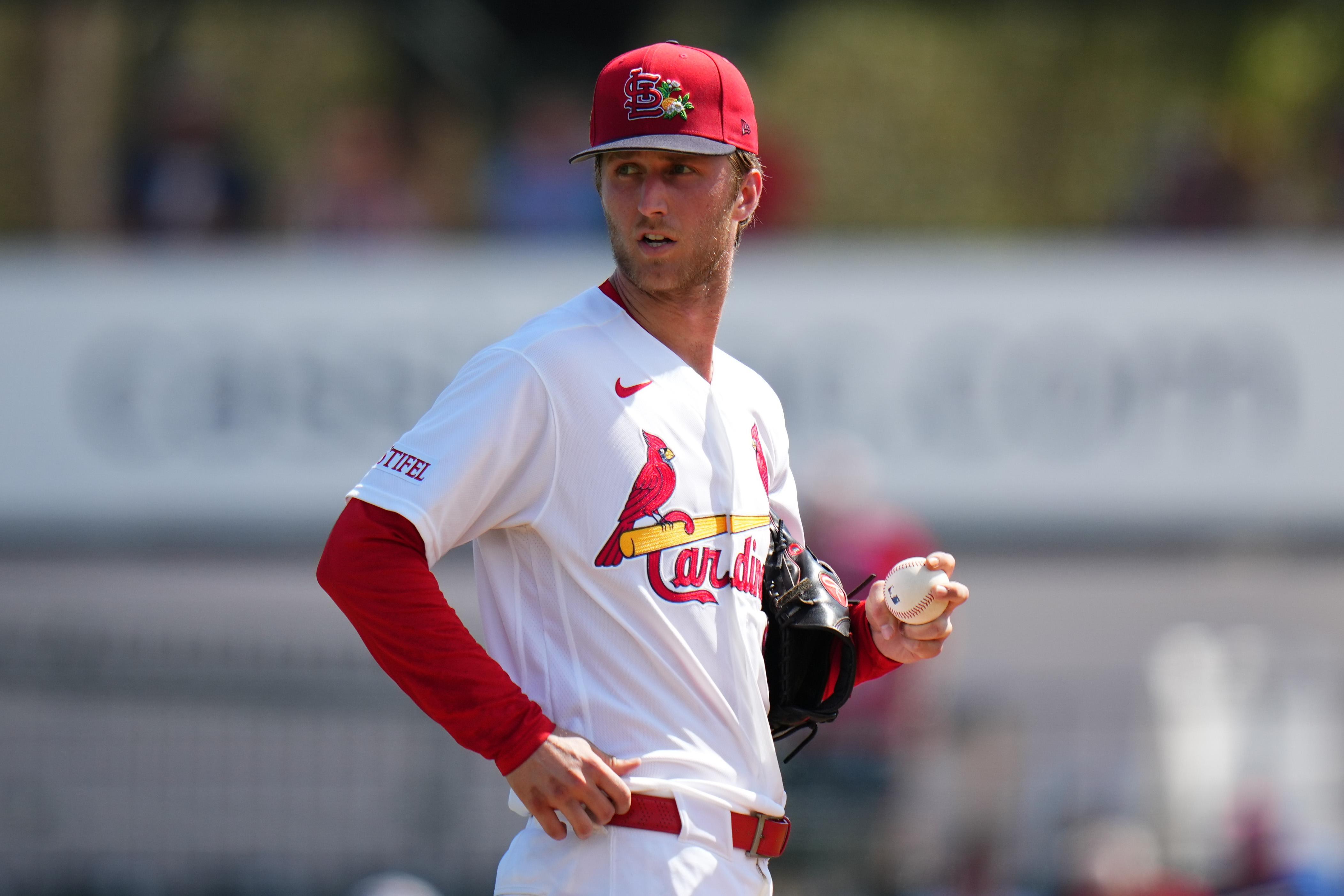 St. Louis Cardinals minor leaguers great at one stat (or more!)