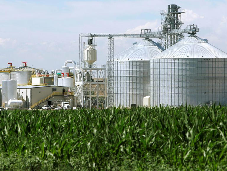 IMO definition of Brazil corn ethanol carbon footprint a landmark step ...
