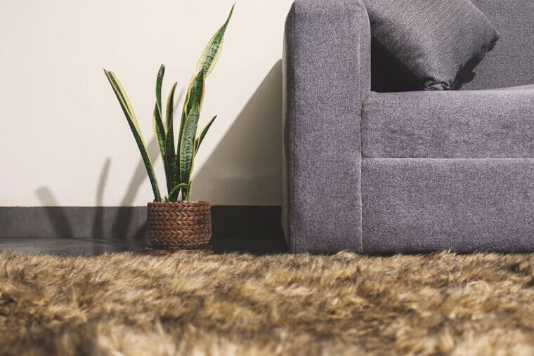 Wood paneling, shag carpet, and other '70s features coming back