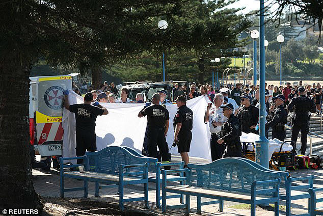 Young mum fighting for life after horror Coogee shark attack identified ...